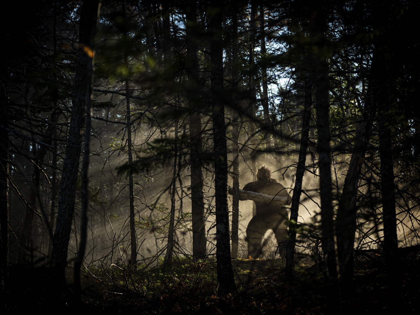 Prime Video: The Alaska Triangle - Season 2