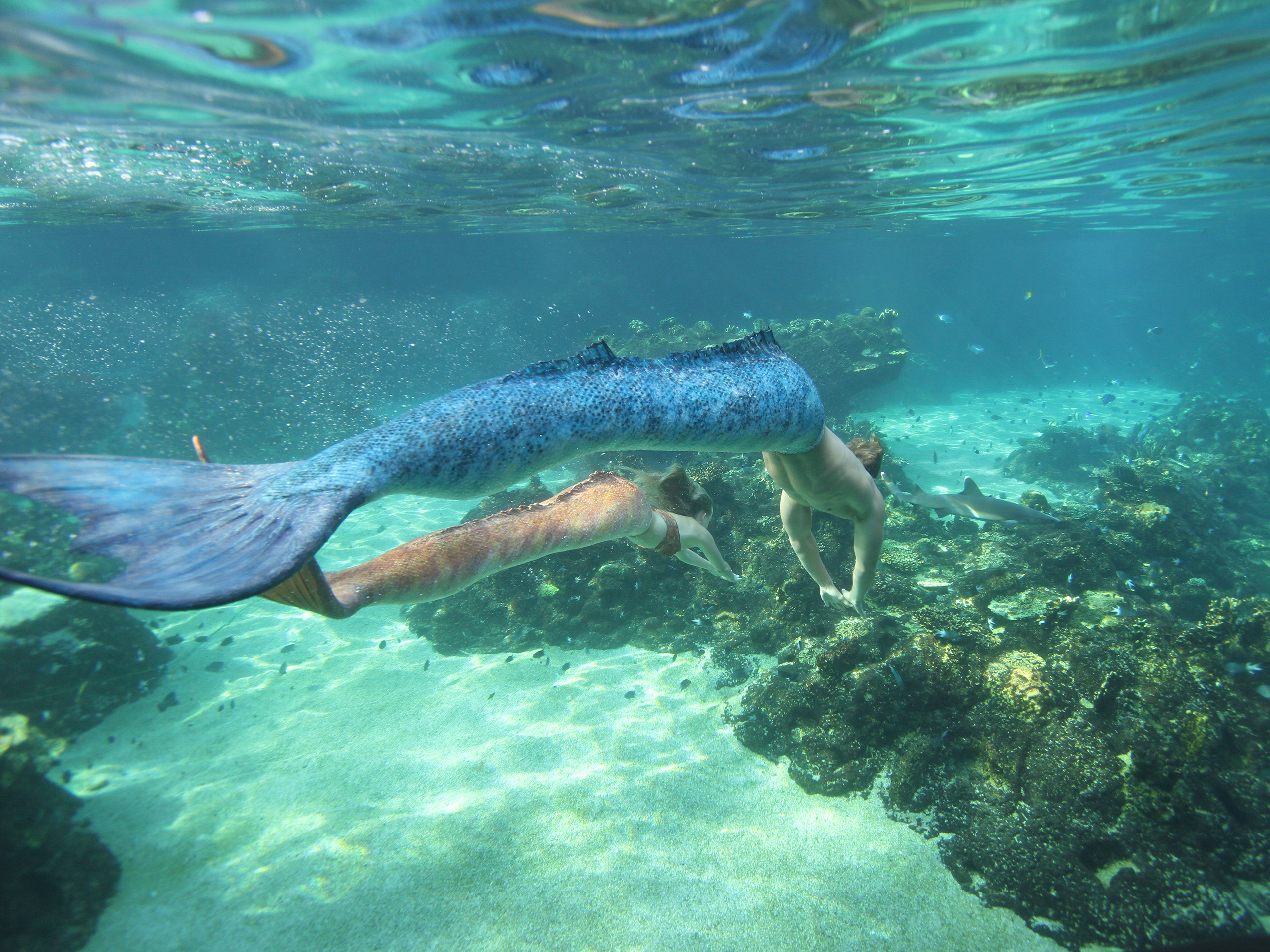 Prime Video: Русалки острова Мако