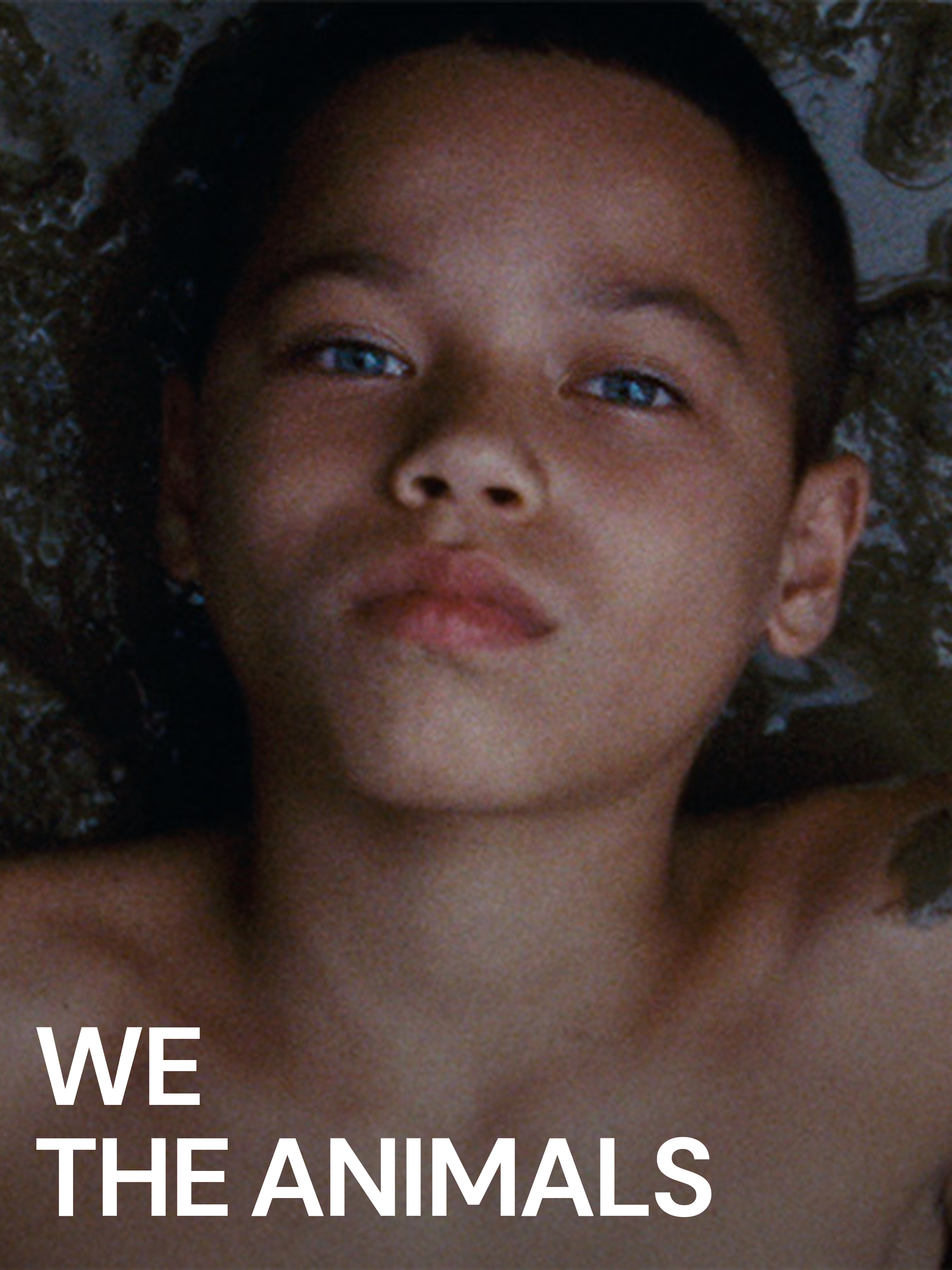 Prime Video: We the Animals