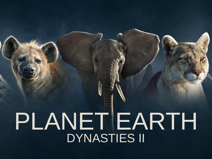 Prime Video: Season 1