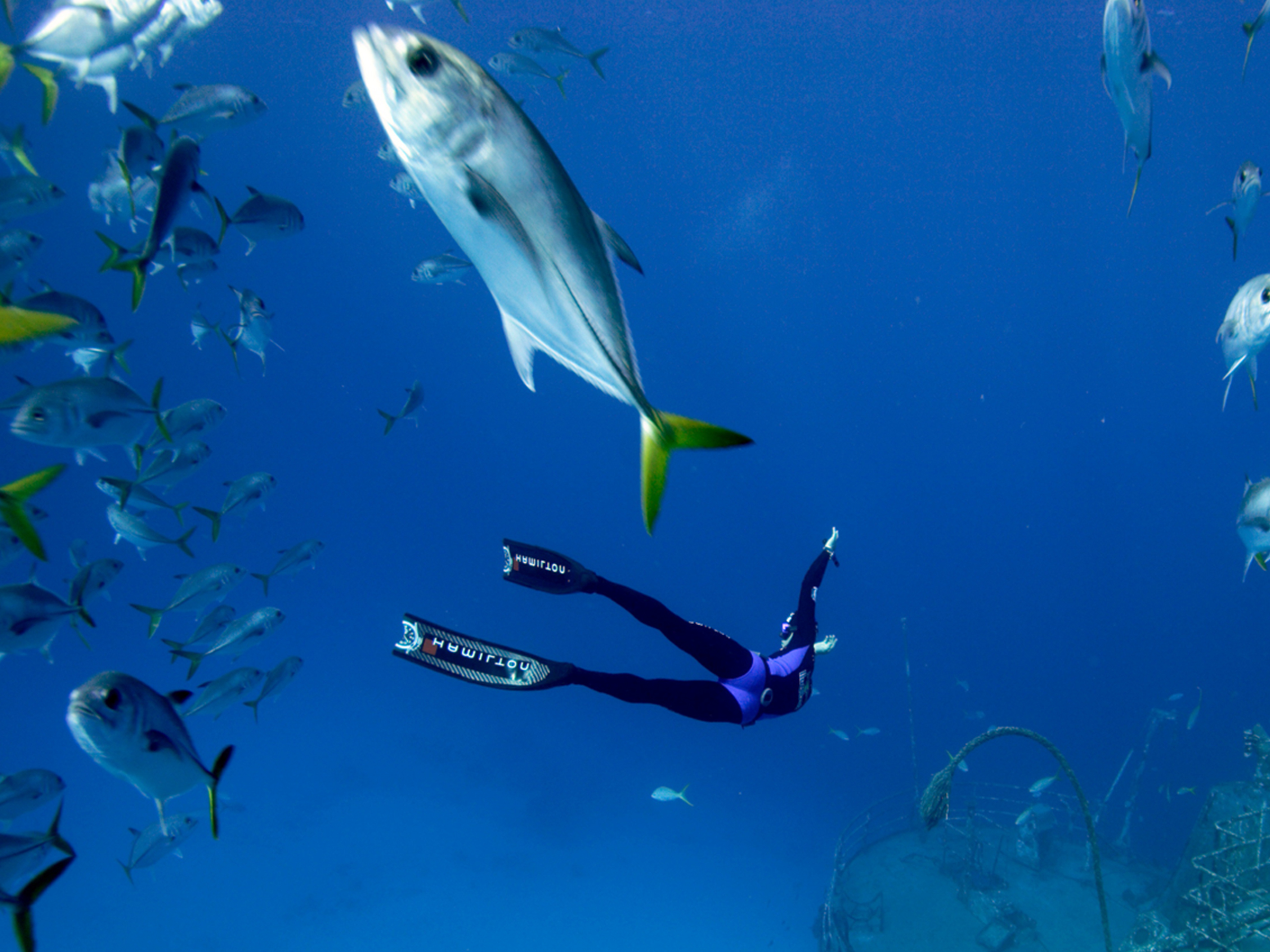 Prime Video: Adventure Ocean Quest