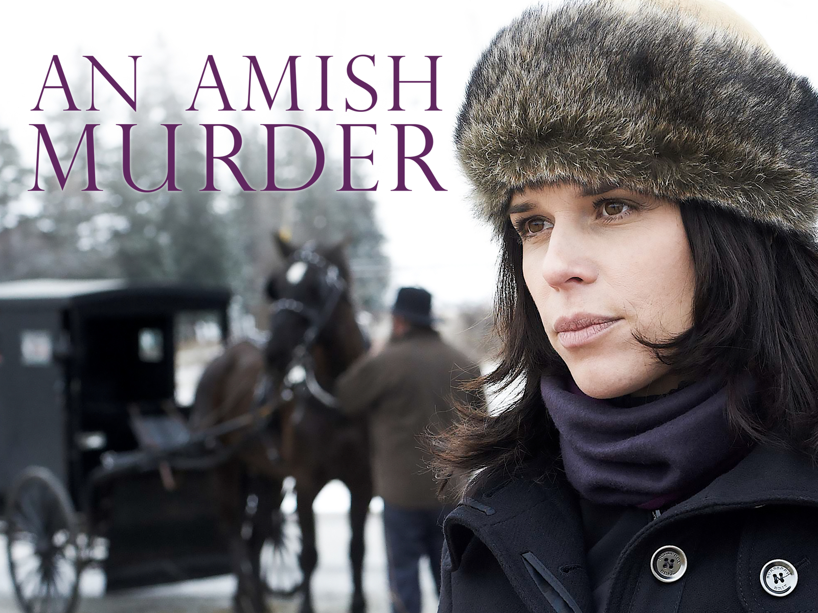 Prime Video: An Amish Murder - Season 1