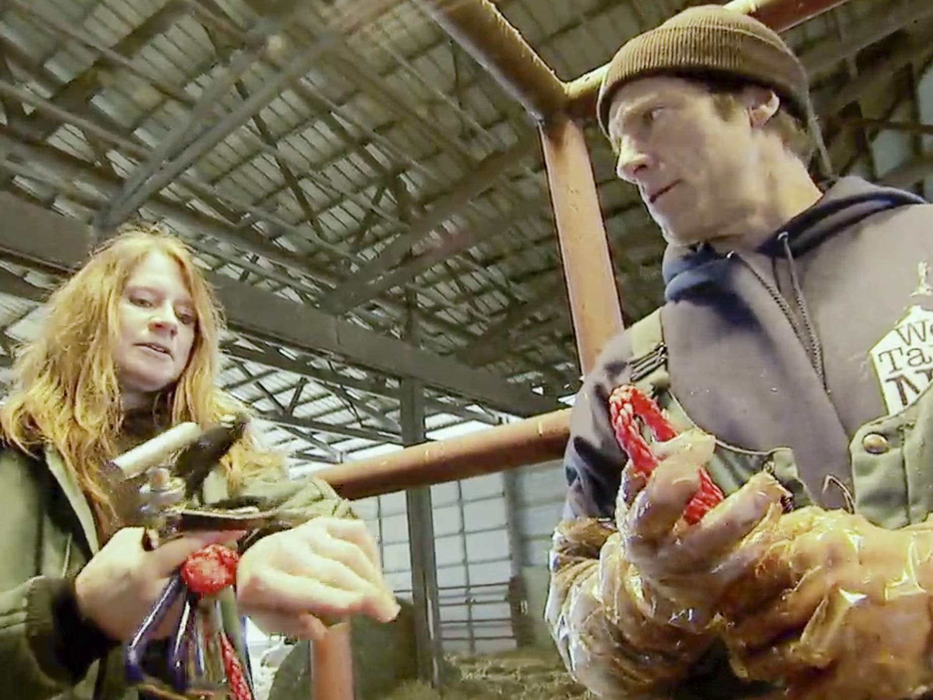 Prime Video: Dirty Jobs - Season 8