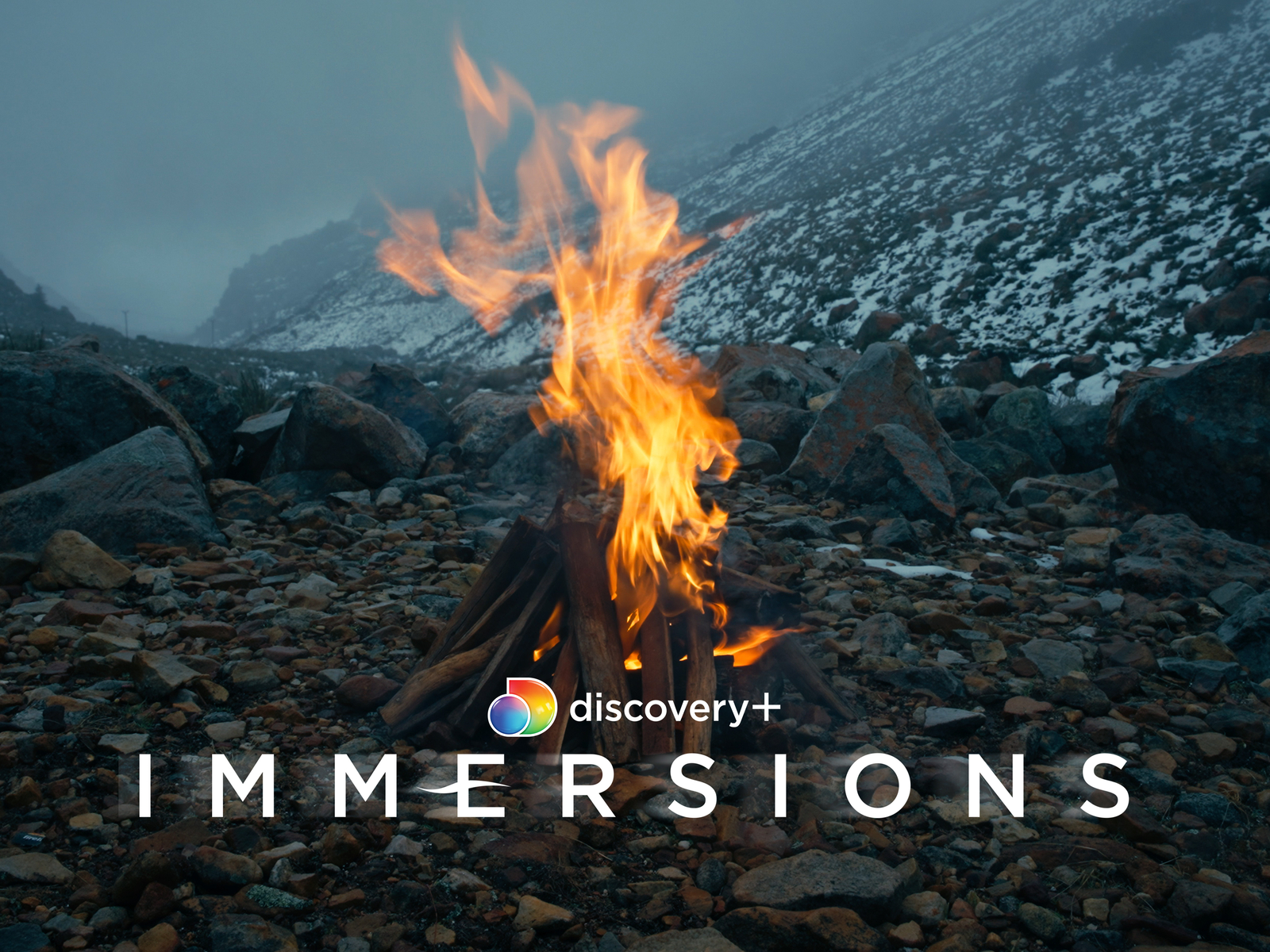 Prime Video: discovery+ Immersions - Season 1