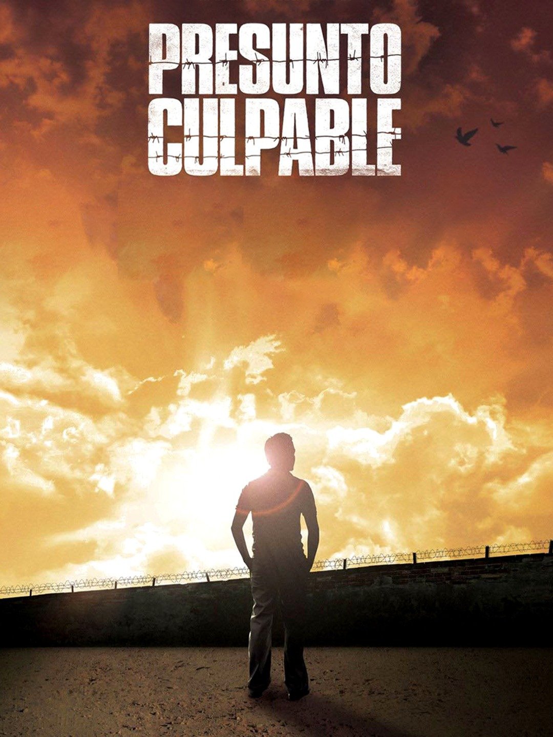 Prime Video: Presunto culpable