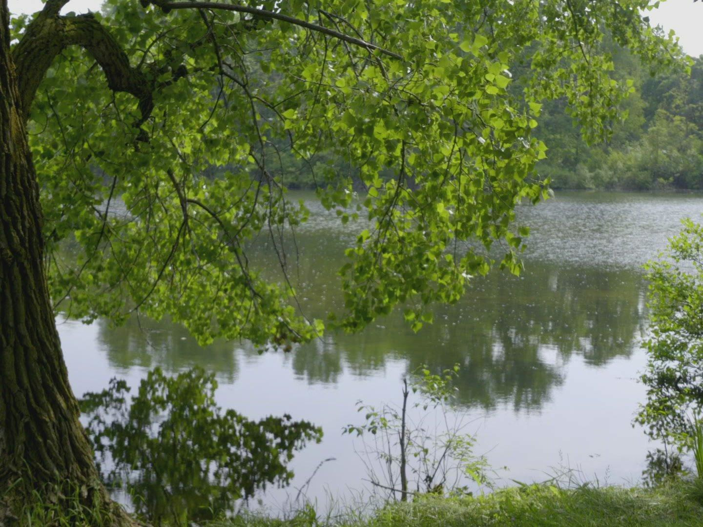 Prime Video: Snapped Season 24