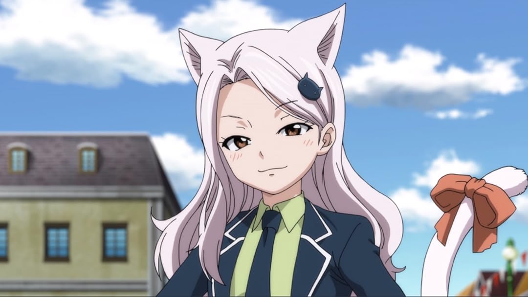 Fairy Tail Happy Human