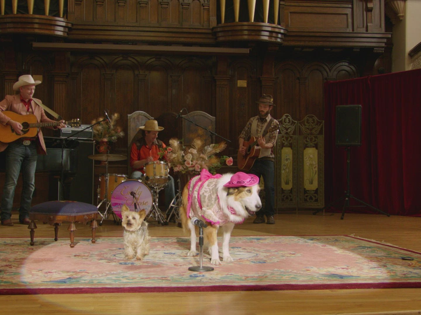 Prime Video: Pup Star - Season 1