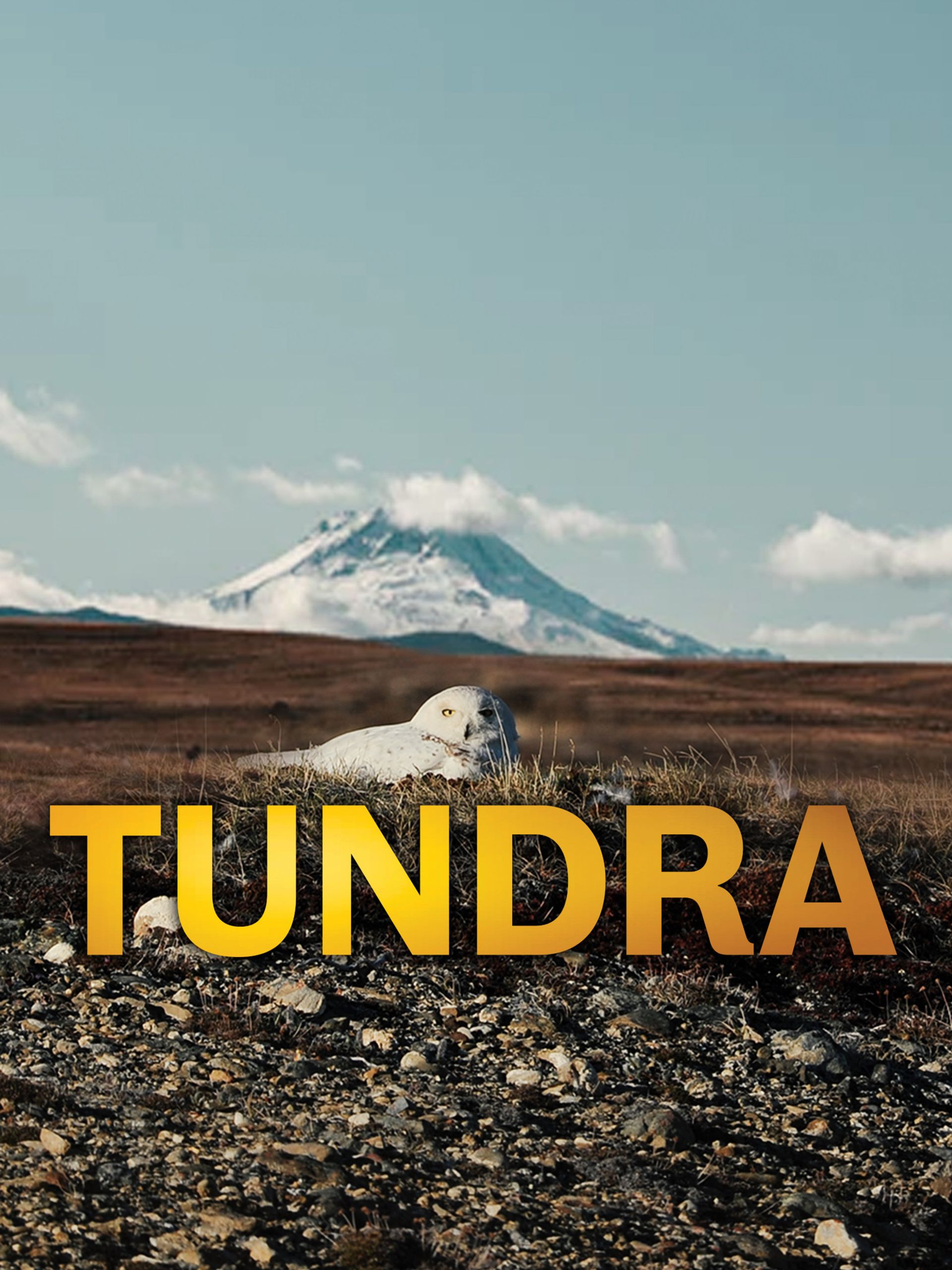 Prime Video: Tundra
