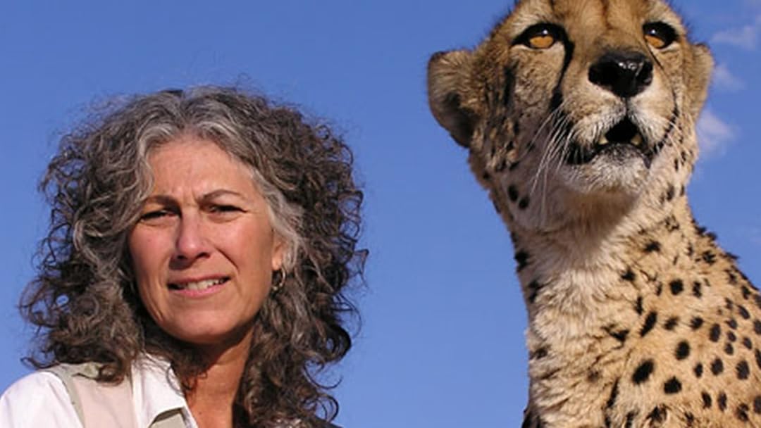 Watch Lady Cheetah | Prime Video