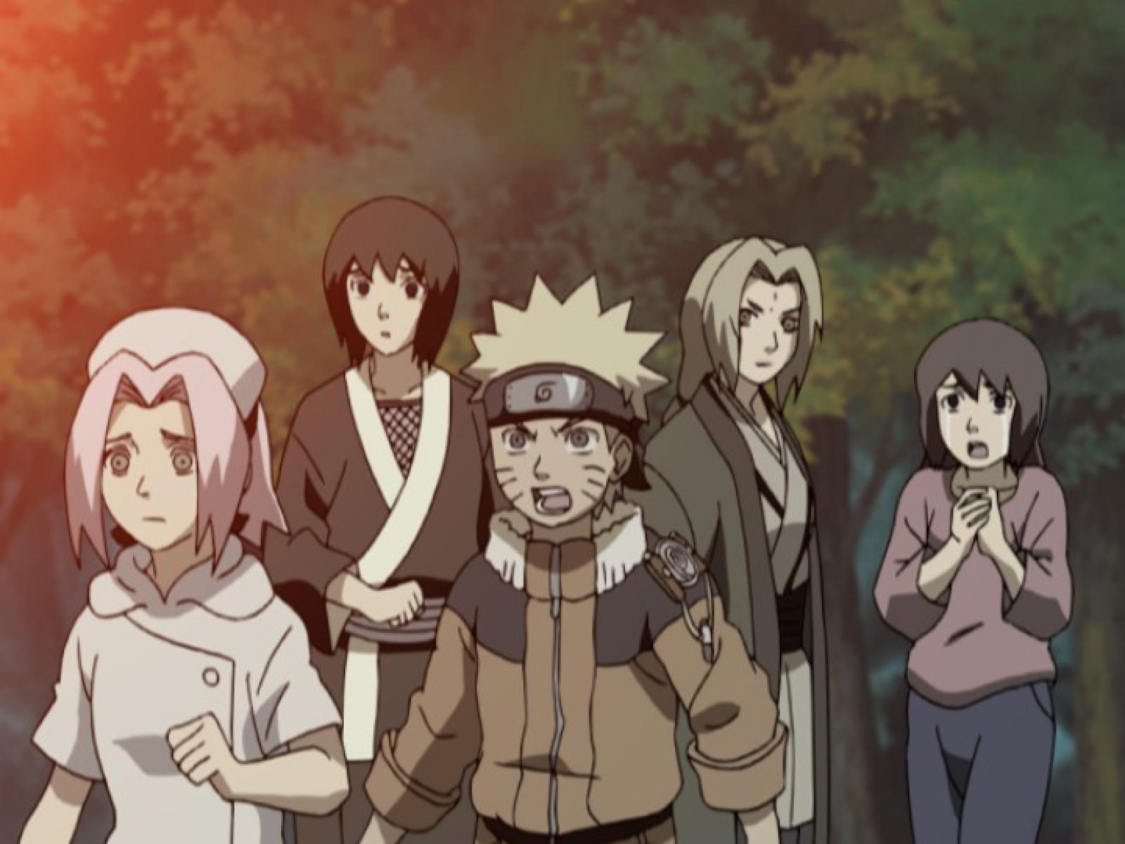 Prime Video: Naruto - Season 9