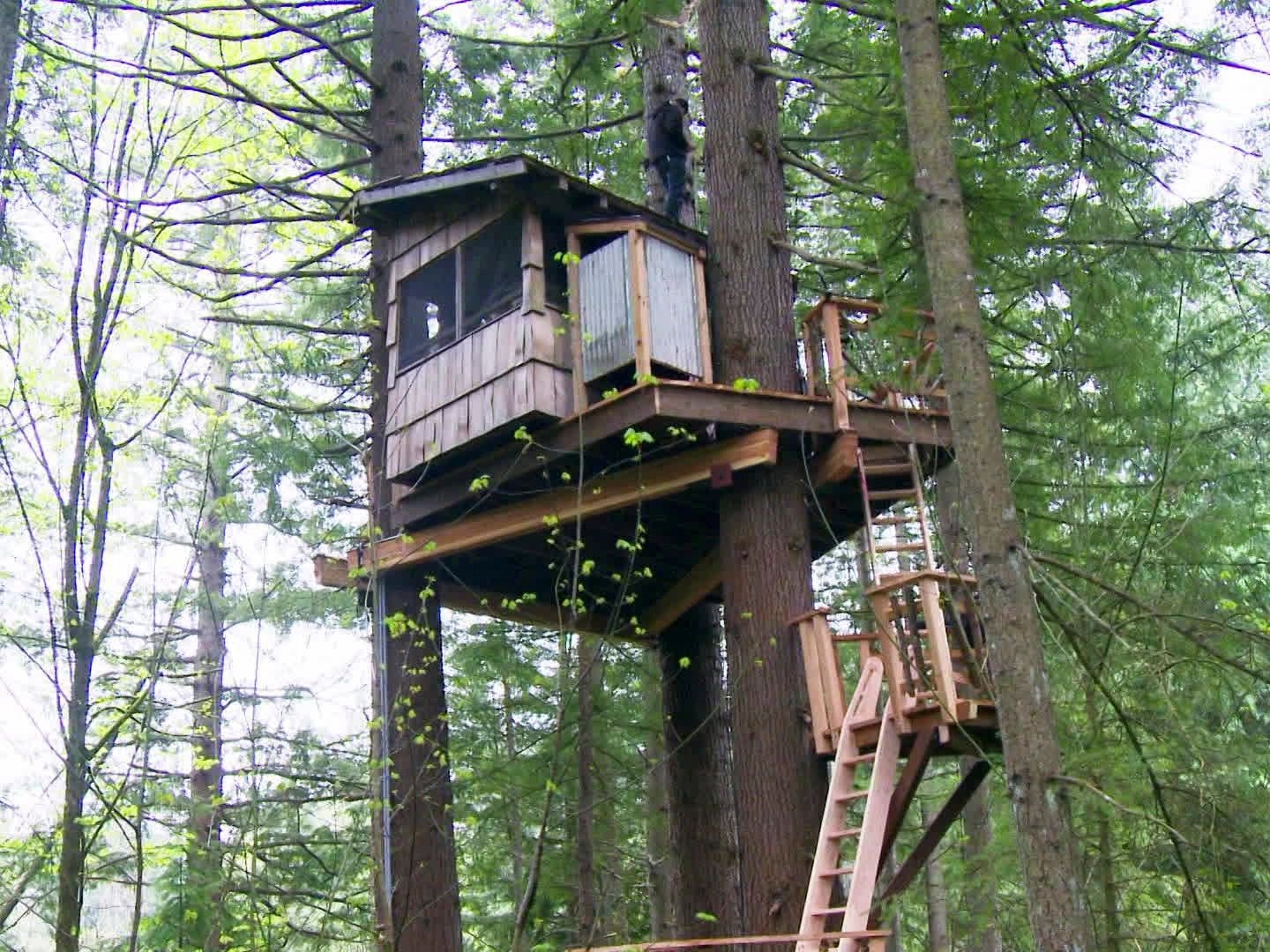 Prime Video: Treehouse Masters - Season 4