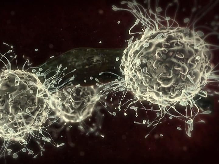 Prime Video: Monsters Inside Me - Season 1