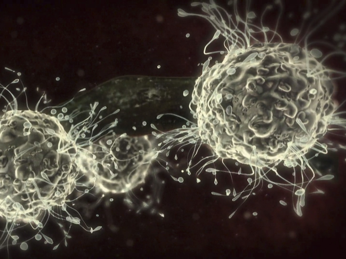 Prime Video: Monsters Inside Me - Season 1