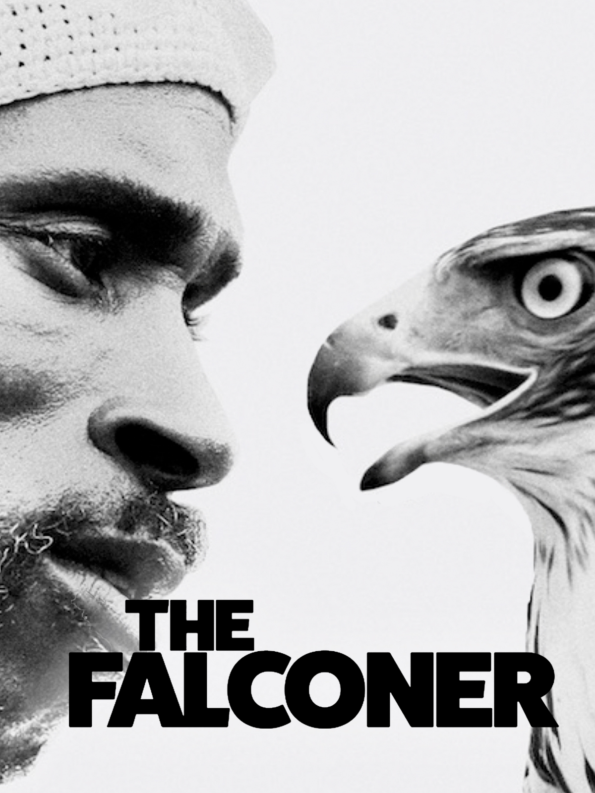Prime Video: The Falconer