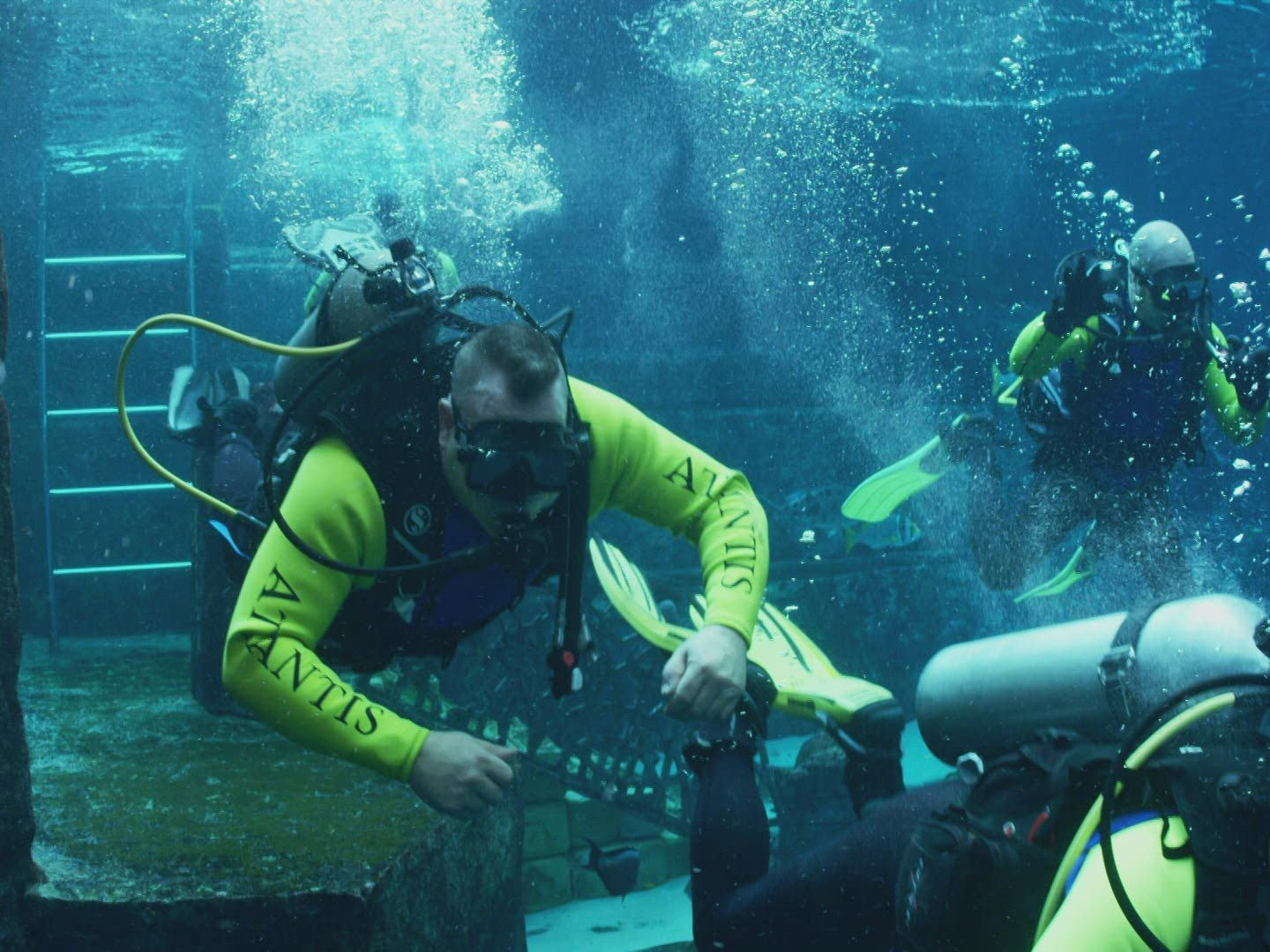 Prime Video: Tanked - Season 6