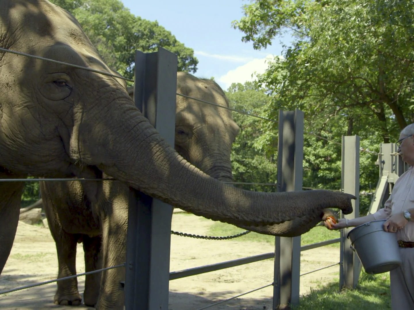 Prime Video: The Zoo - Season 2