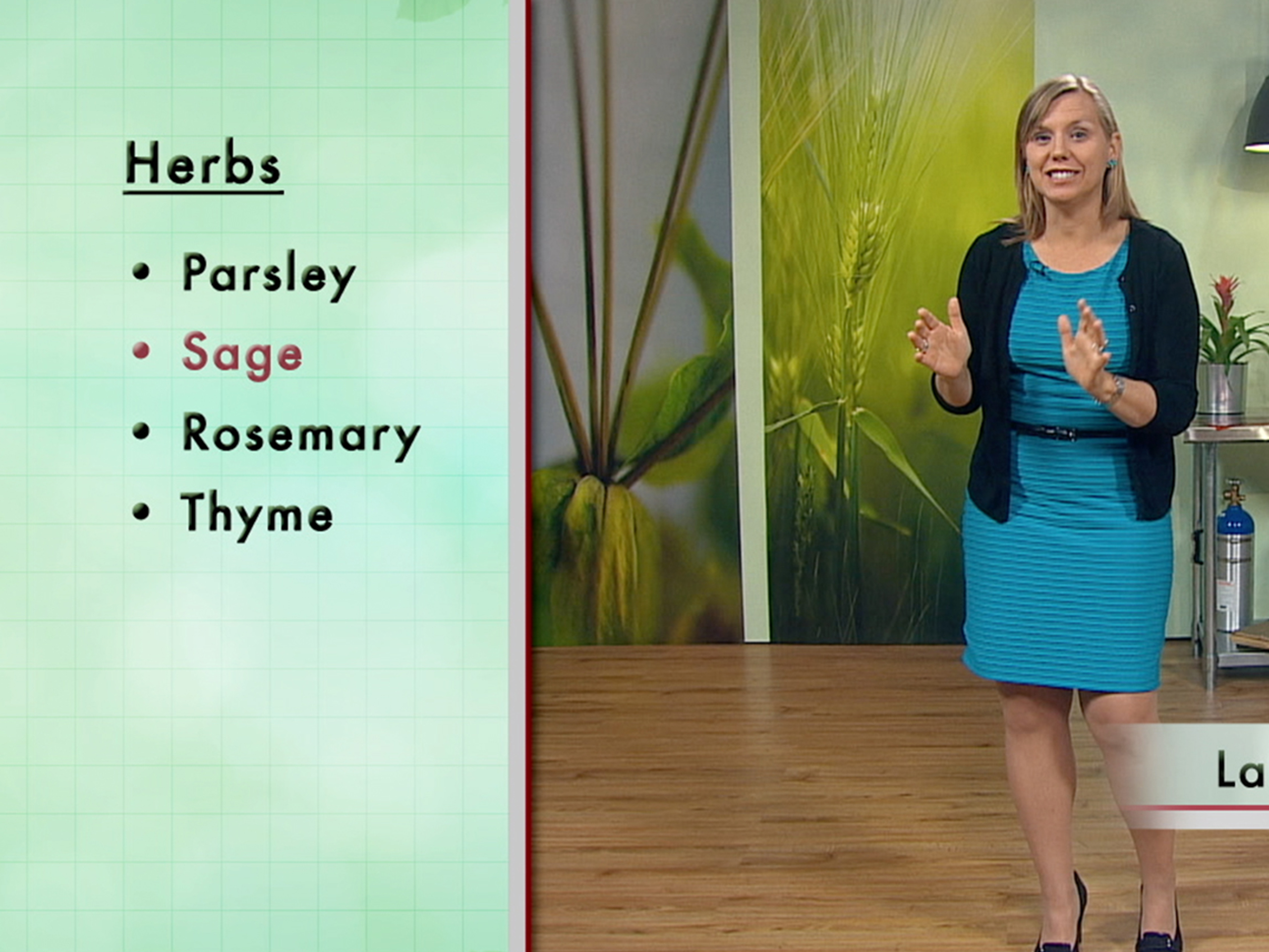 Prime Video: Plant Science: An Introduction to Botany