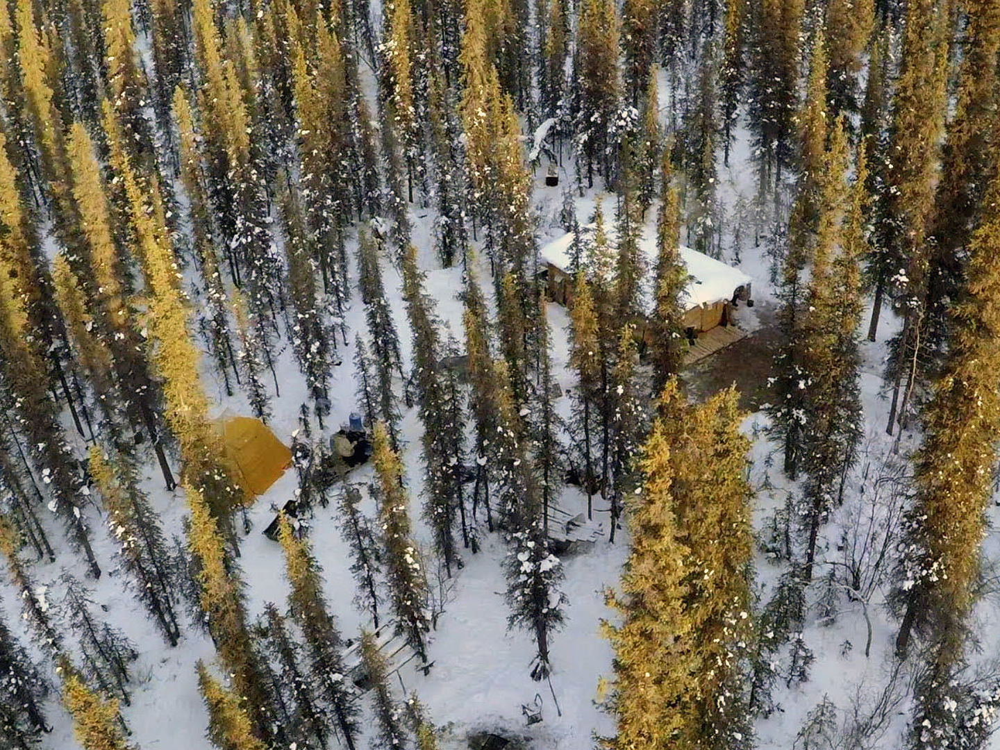 Prime Video: The Last Alaskans - Season 1