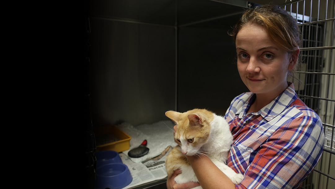 Prime Video: The Yorkshire Vet