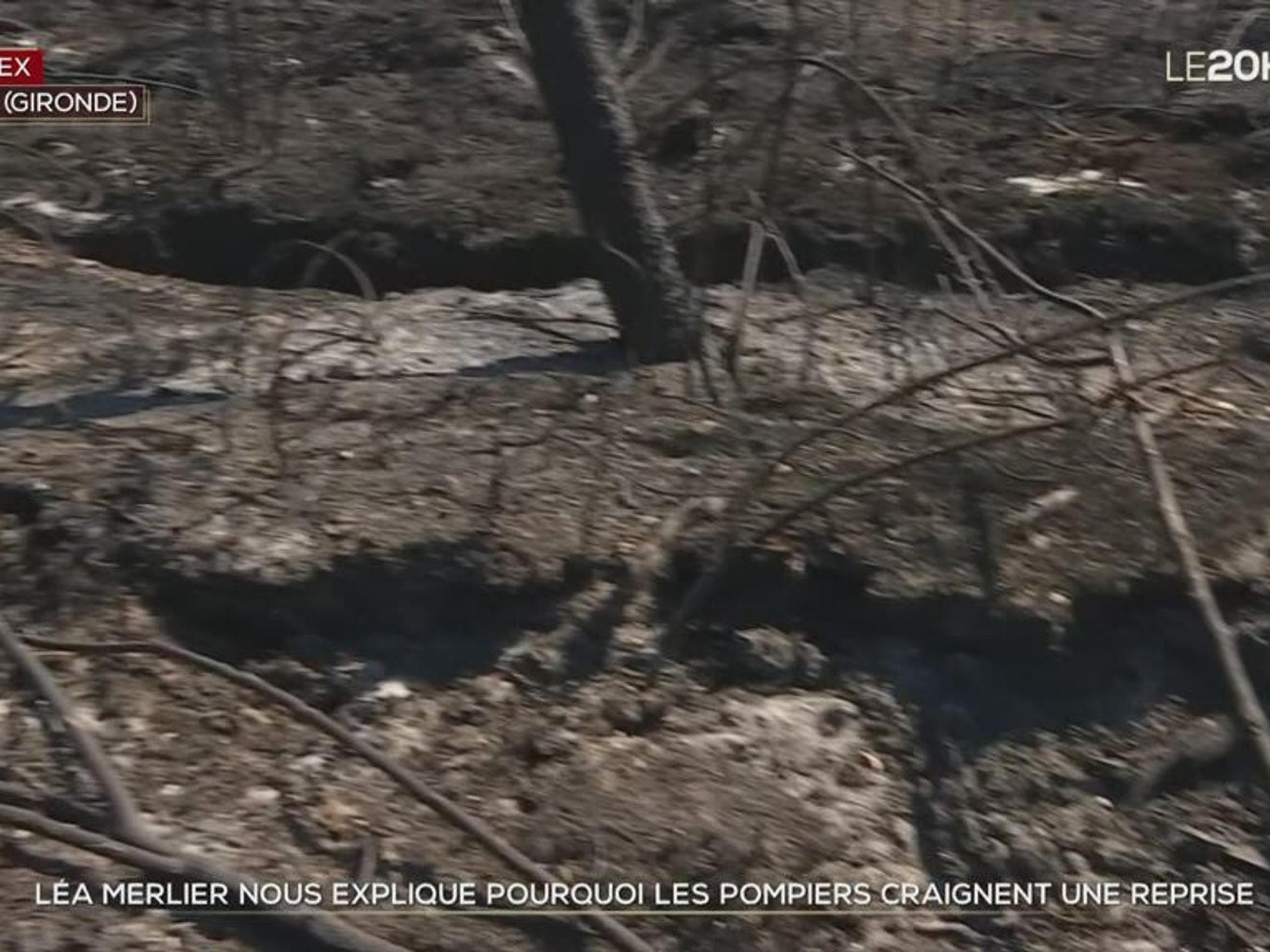 Prime Video: Le Journal du week-end - Saison 40