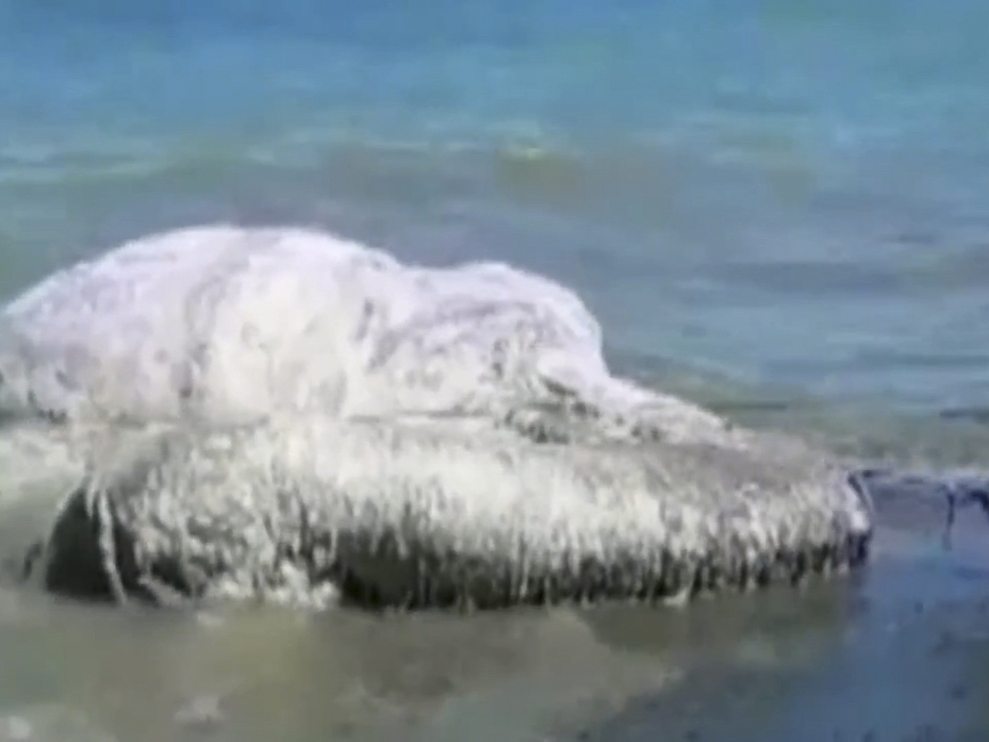 Prime Video: Strange Evidence - Season 3