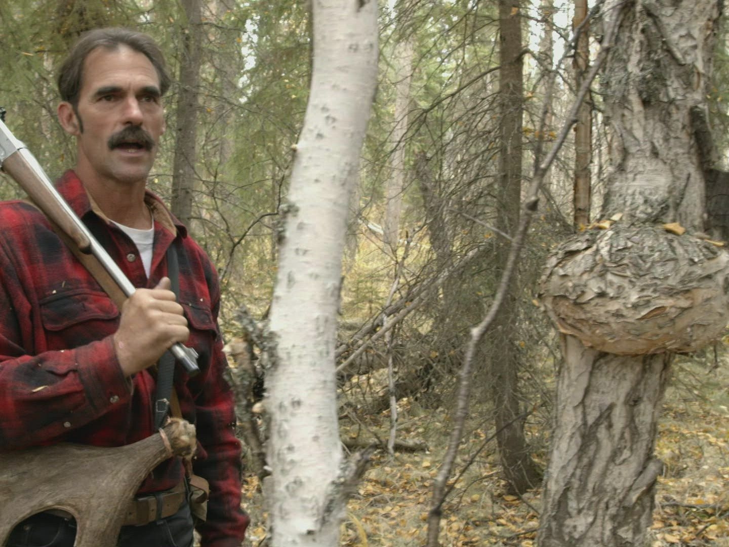 Prime Video: The Last Alaskans - Season 1