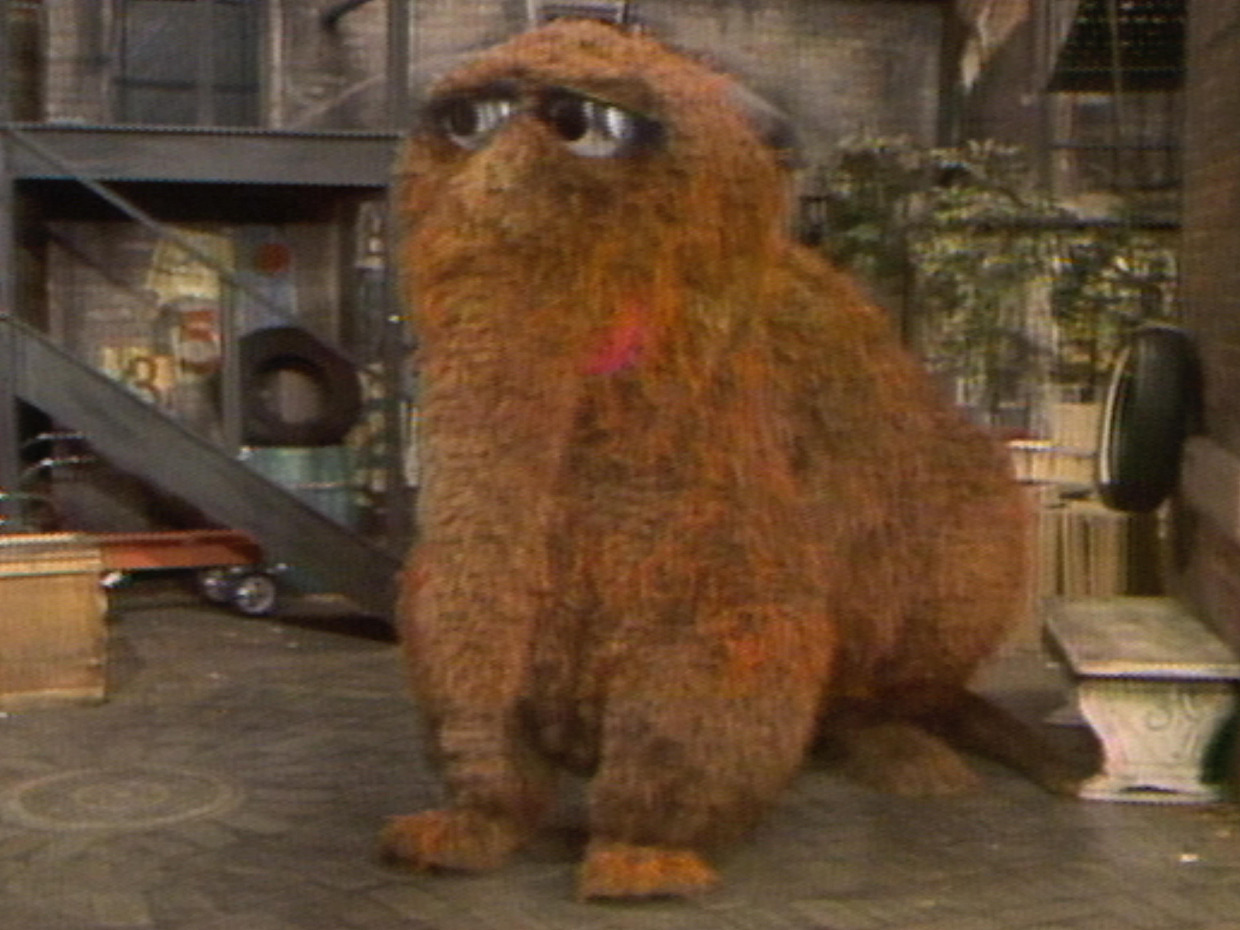 Prime Video: Sesame Street - Season 7