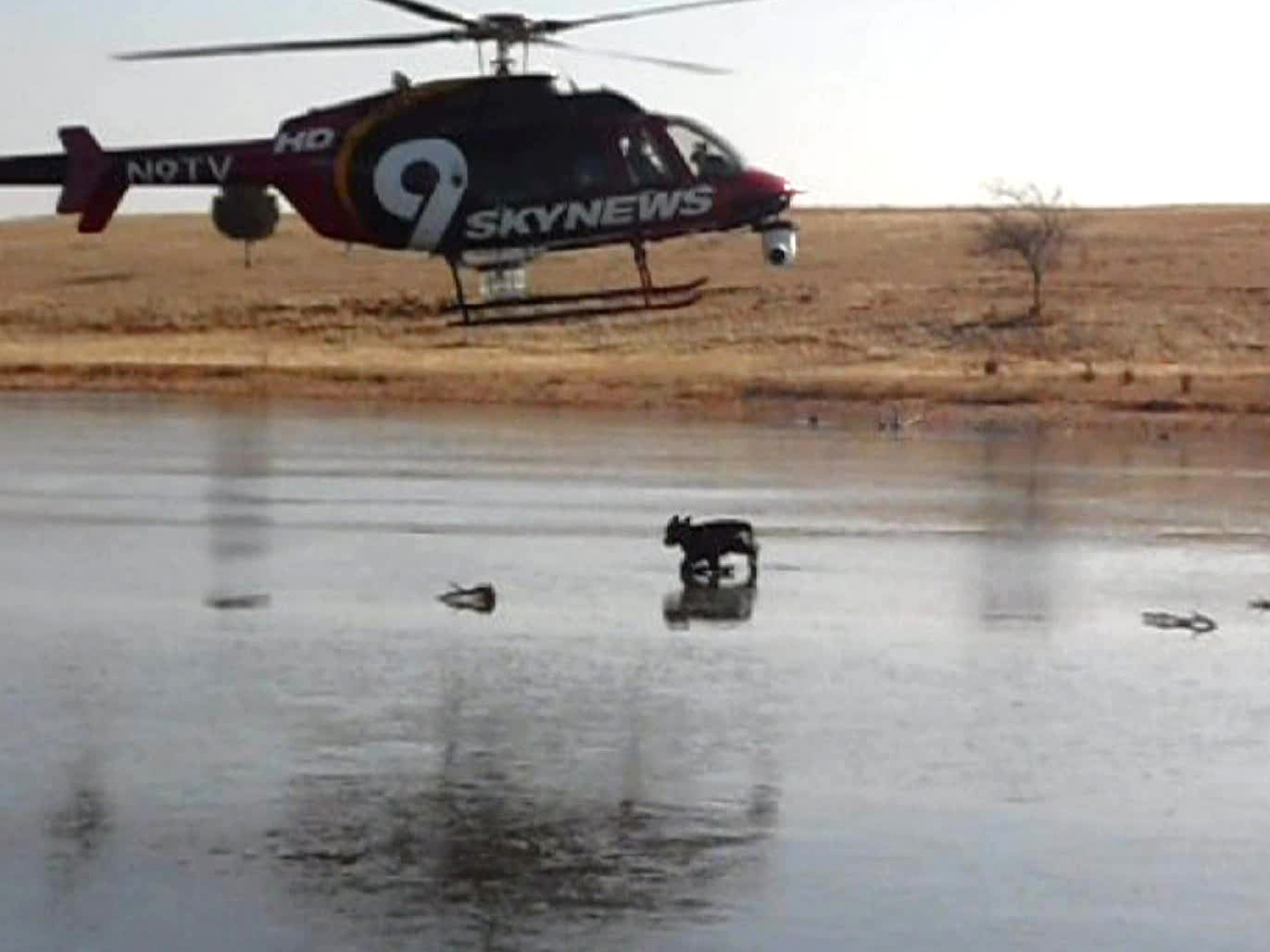 Prime Video: When Vacations Attack! - Season 1