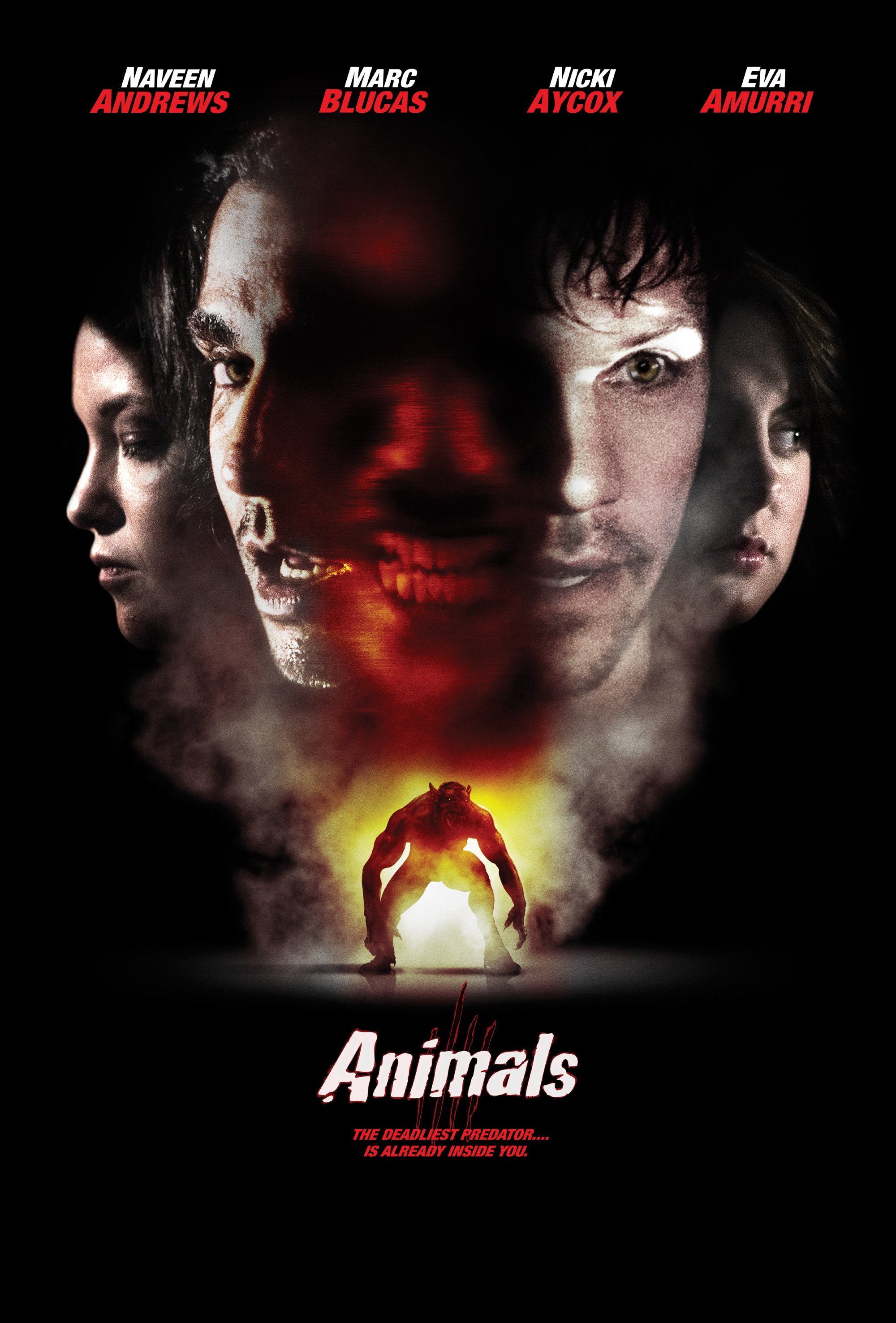 Prime Video: Animals (2008)
