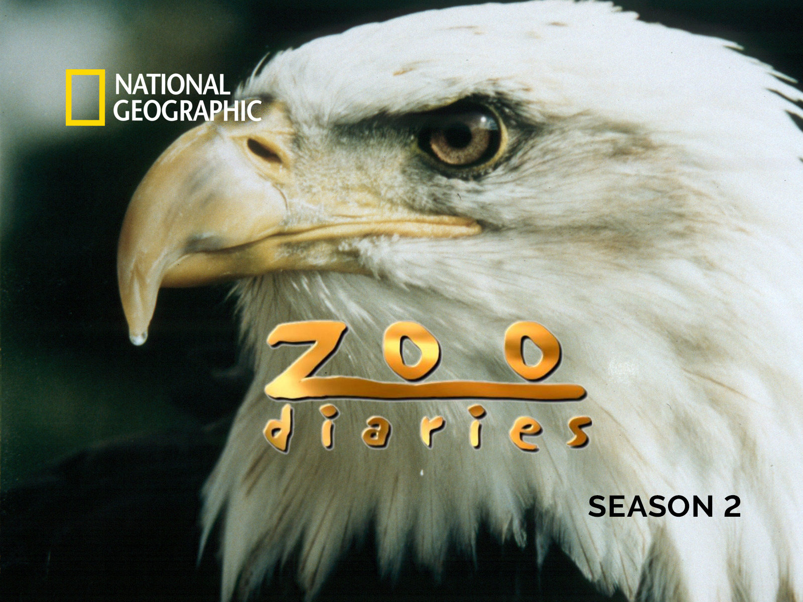 Prime Video: Zoo Diaries - Season 2