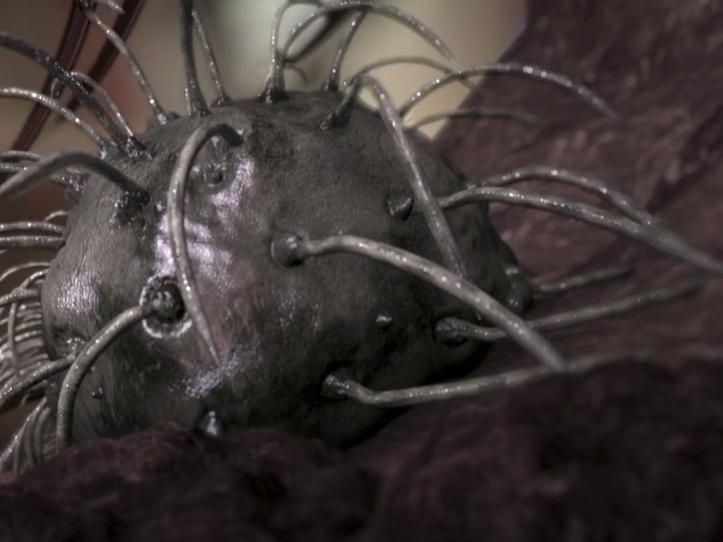 Prime Video: Monsters Inside Me - Season 4