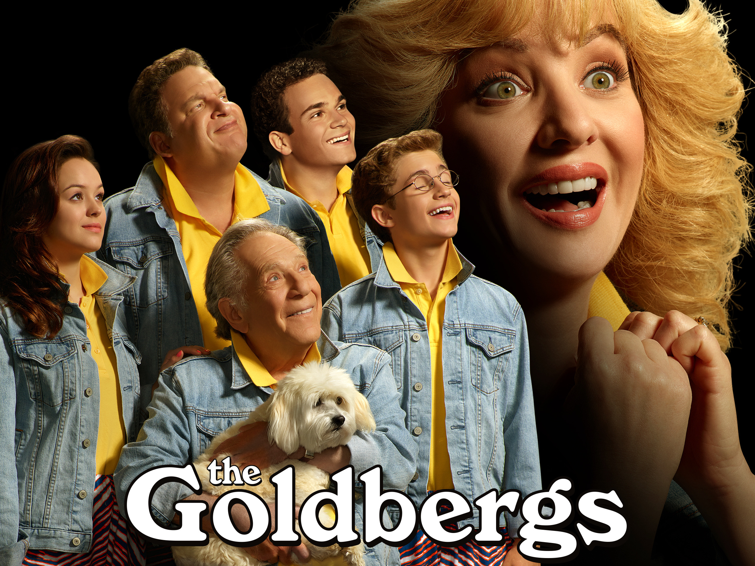 Barry Goldberg The Goldbergs Karate