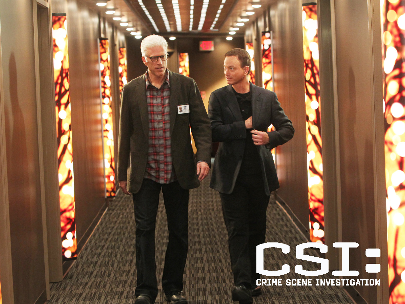 Prime Video: CSI: Crime Scene Investigation, Season 13