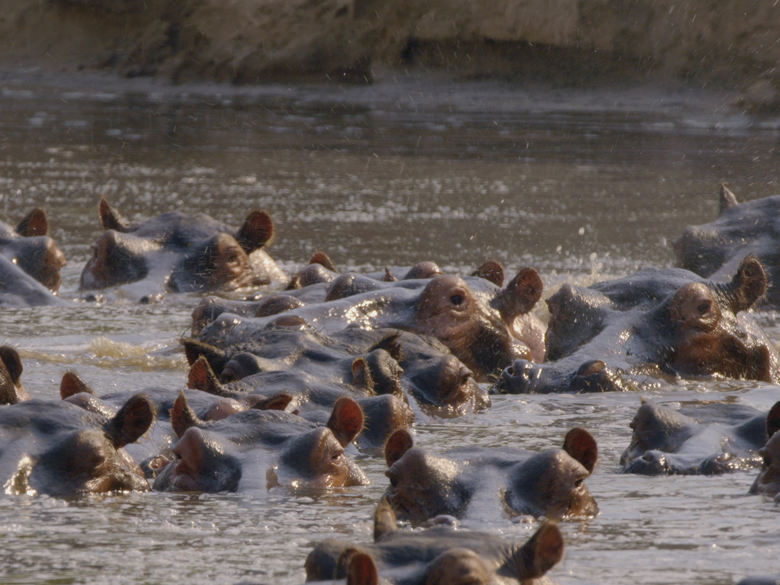 Prime Video: Untamed Valley - Season 1