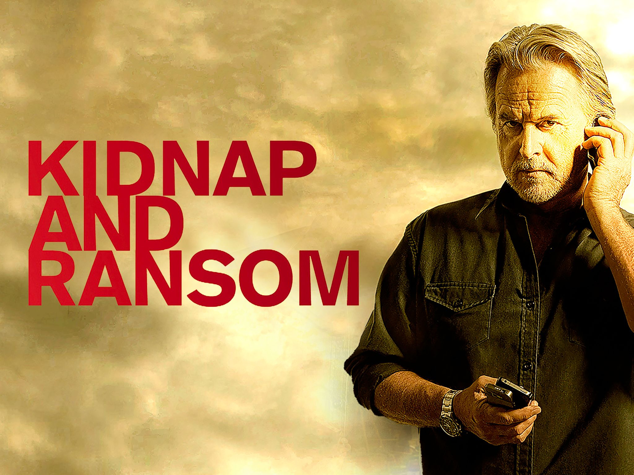 Prime Video: Kidnap and Ransom - Series 1
