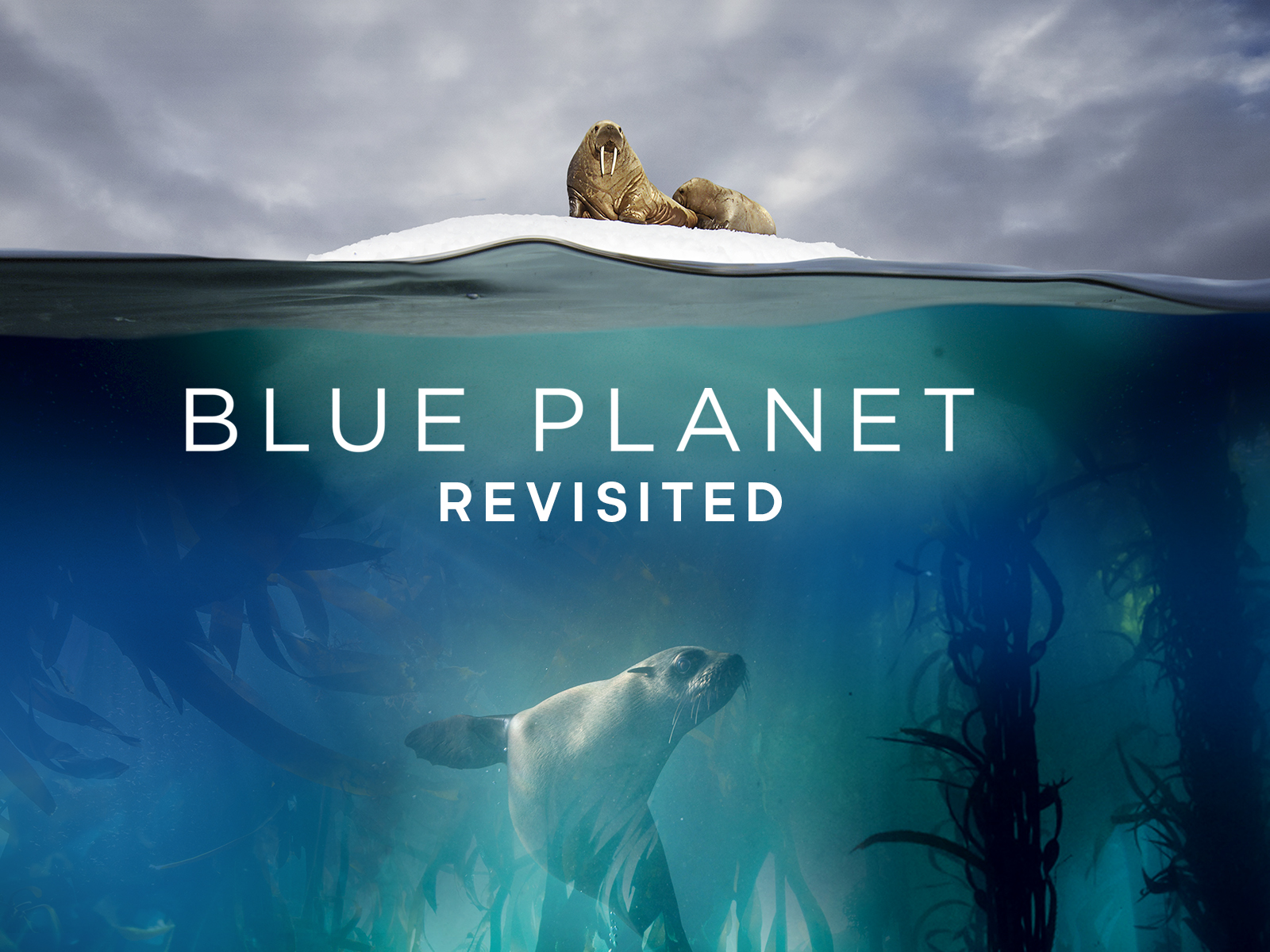 Prime Video: Blue Planet Revisited - Season 1