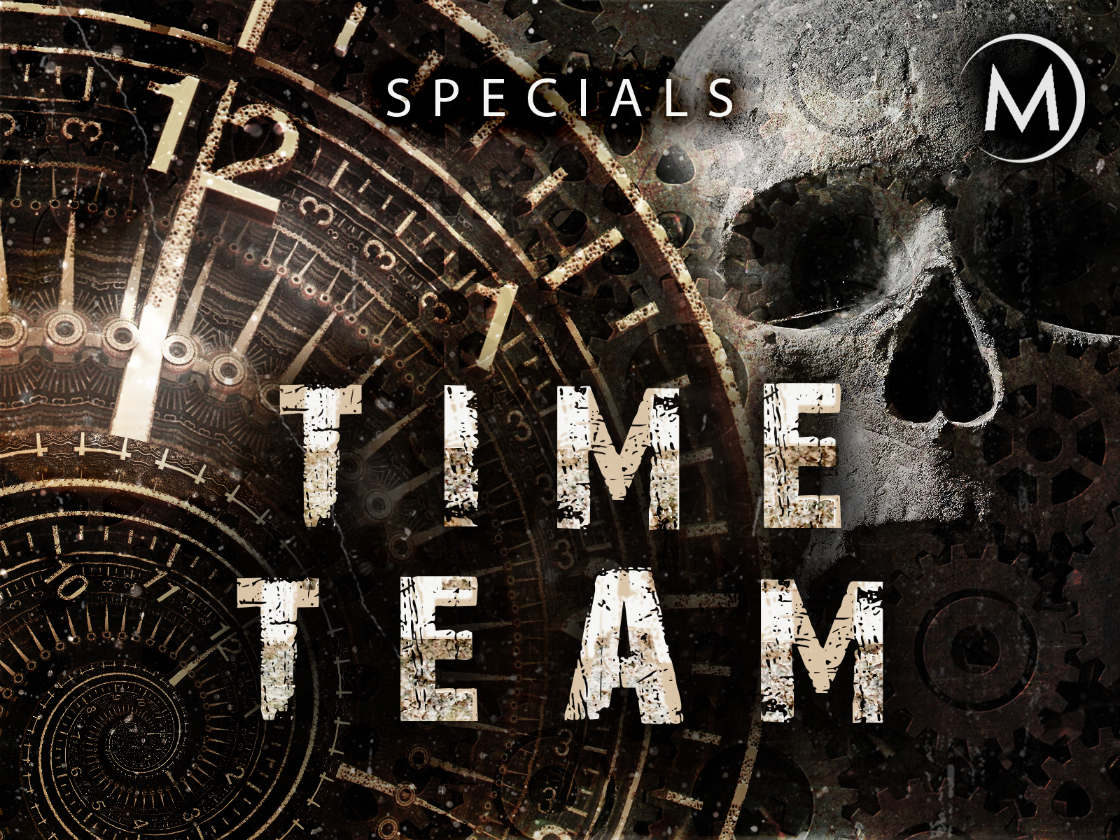 Prime Video: Time Team Specials