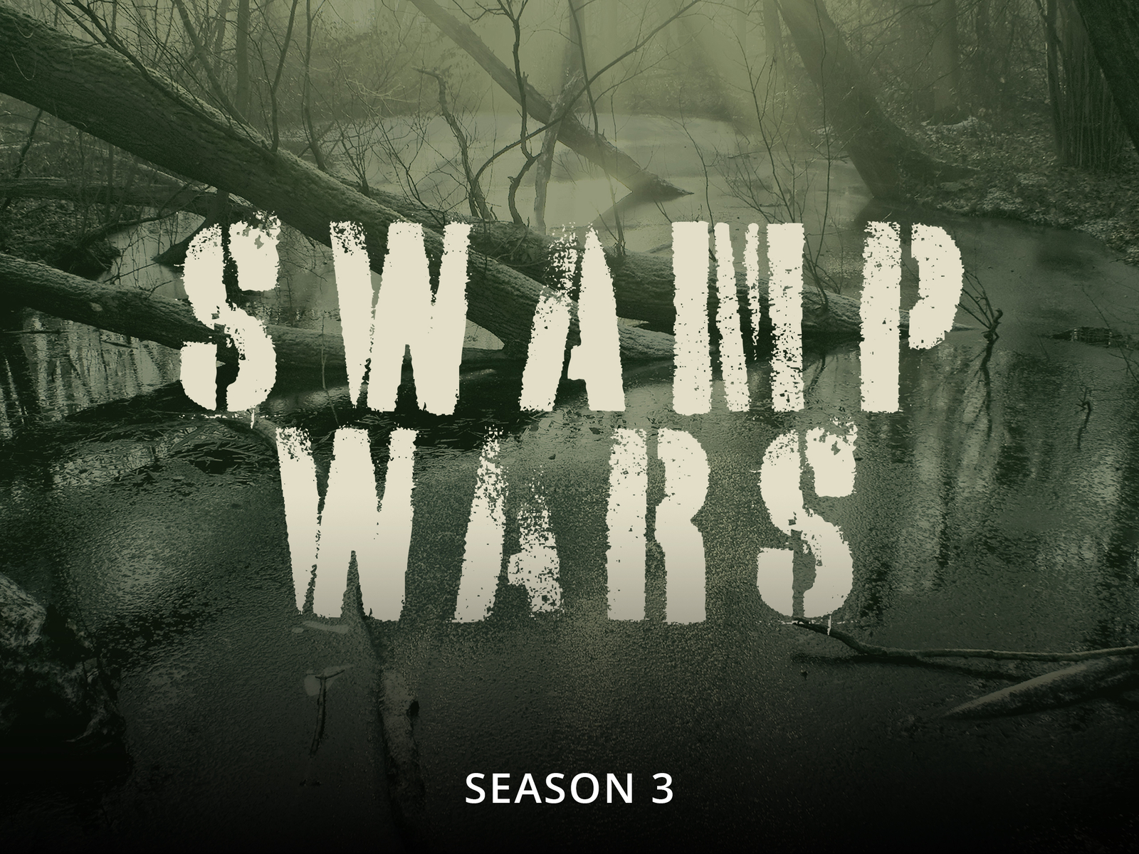 Prime Video: Swamp Wars - Season 3