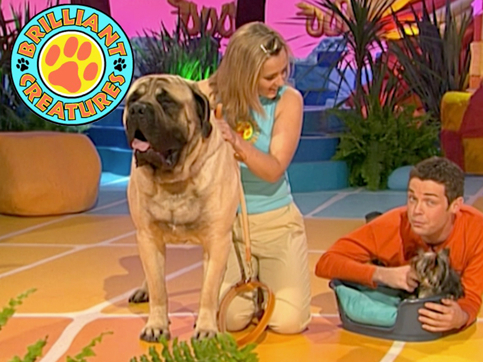 Prime Video: Brilliant Creatures