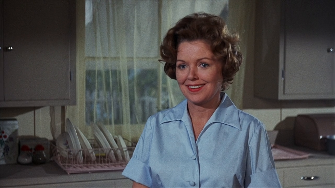 Prime Video: Flipper (1963)