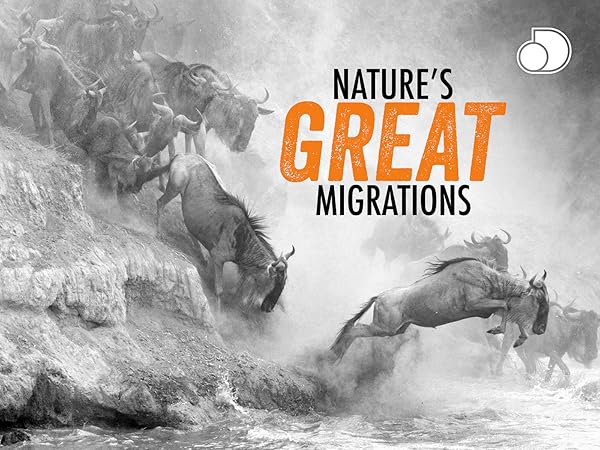 Prime Video: Nature's Great Migrations - Season 1