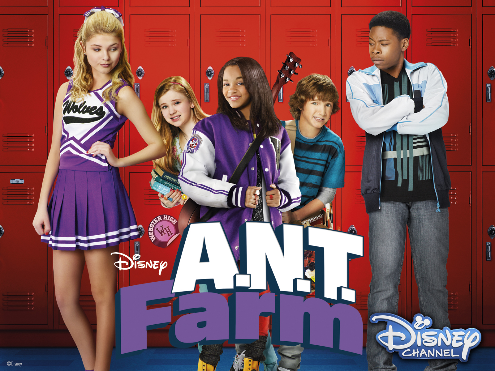 Ant Farm Olive Outfits