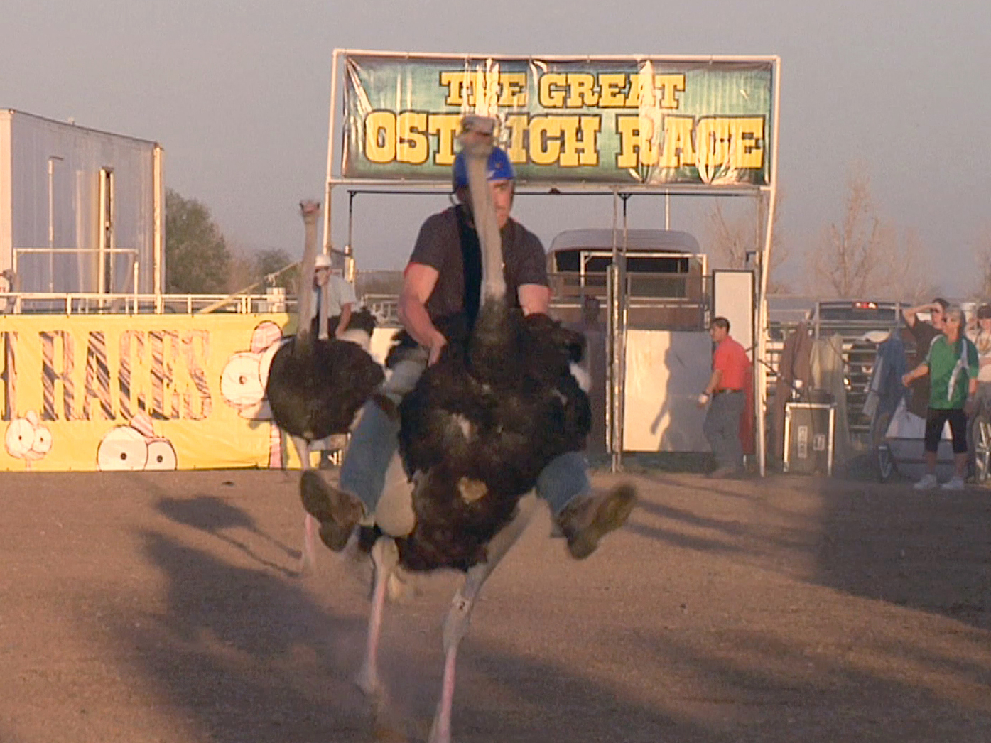 Prime Video: Bert the Conqueror - Season 2