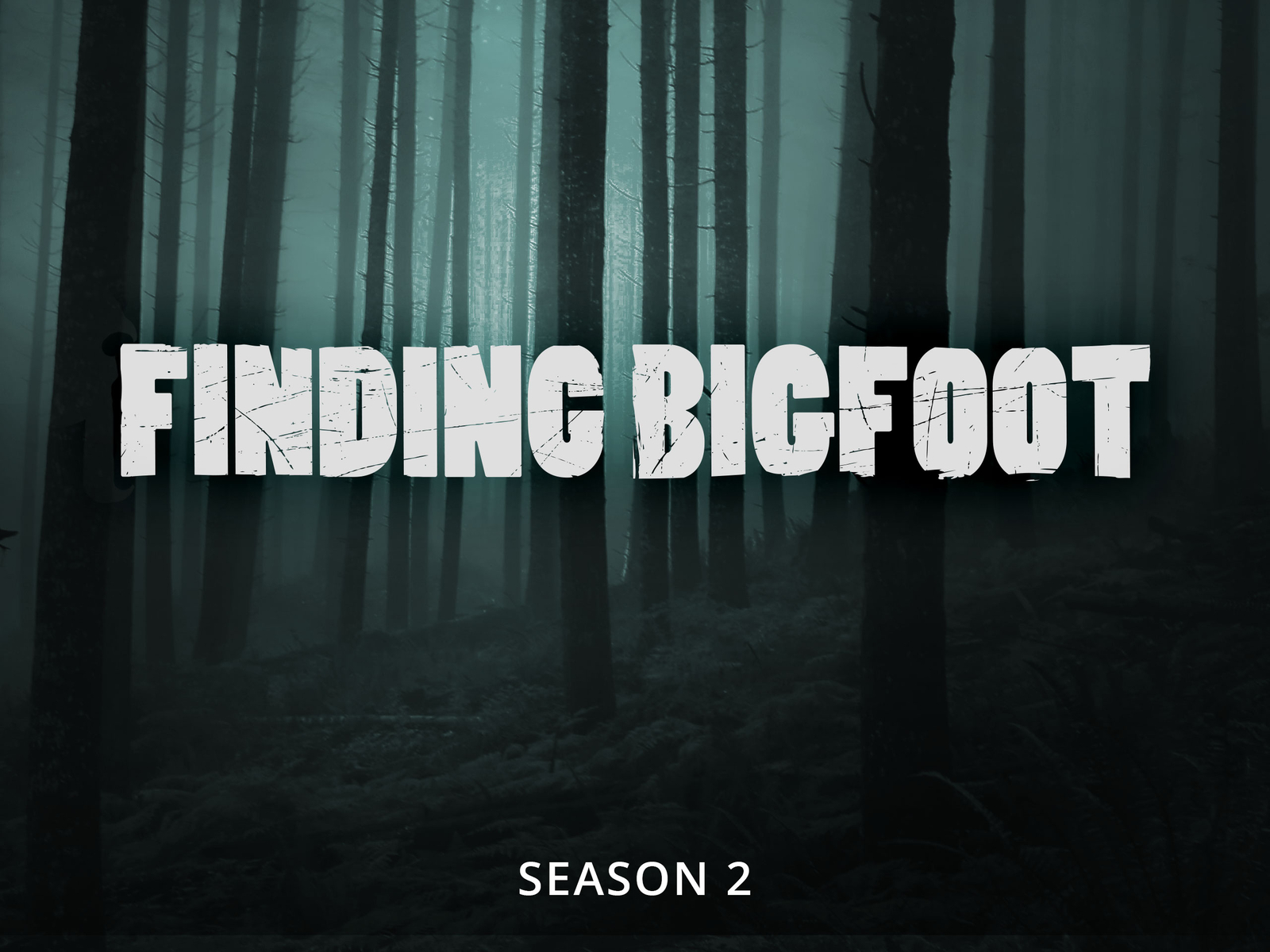Prime Video: Finding Bigfoot Season 2