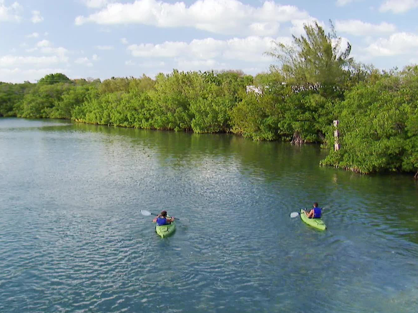 Prime Video: Island Life - Season 1