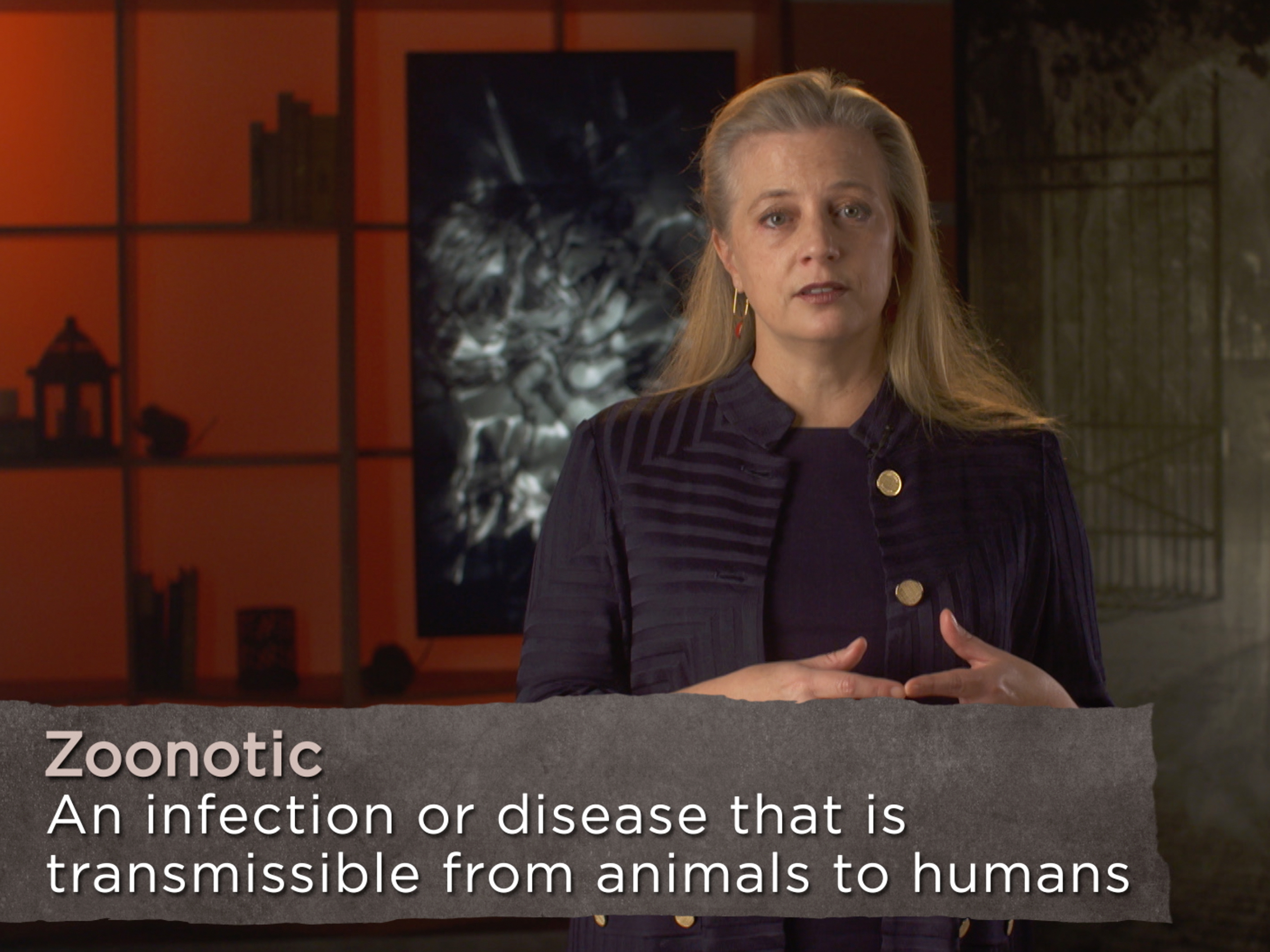 Prime Video: The Black Death: New Lessons from Recent Research