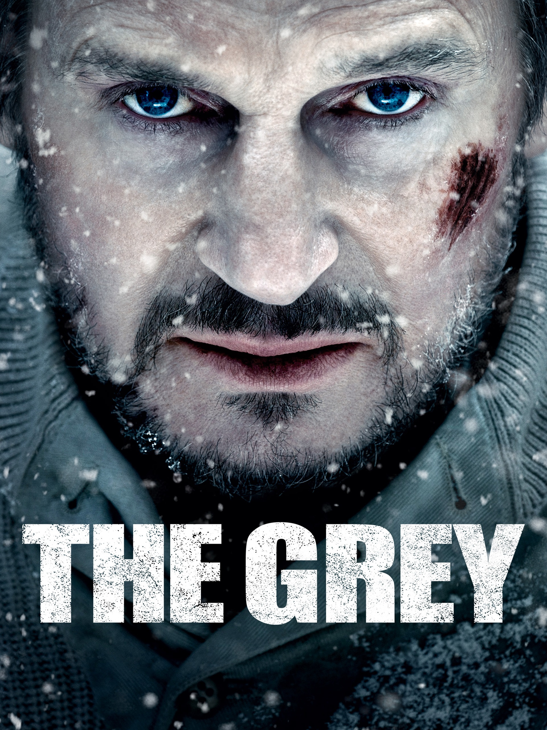 Prime Video: The Grey