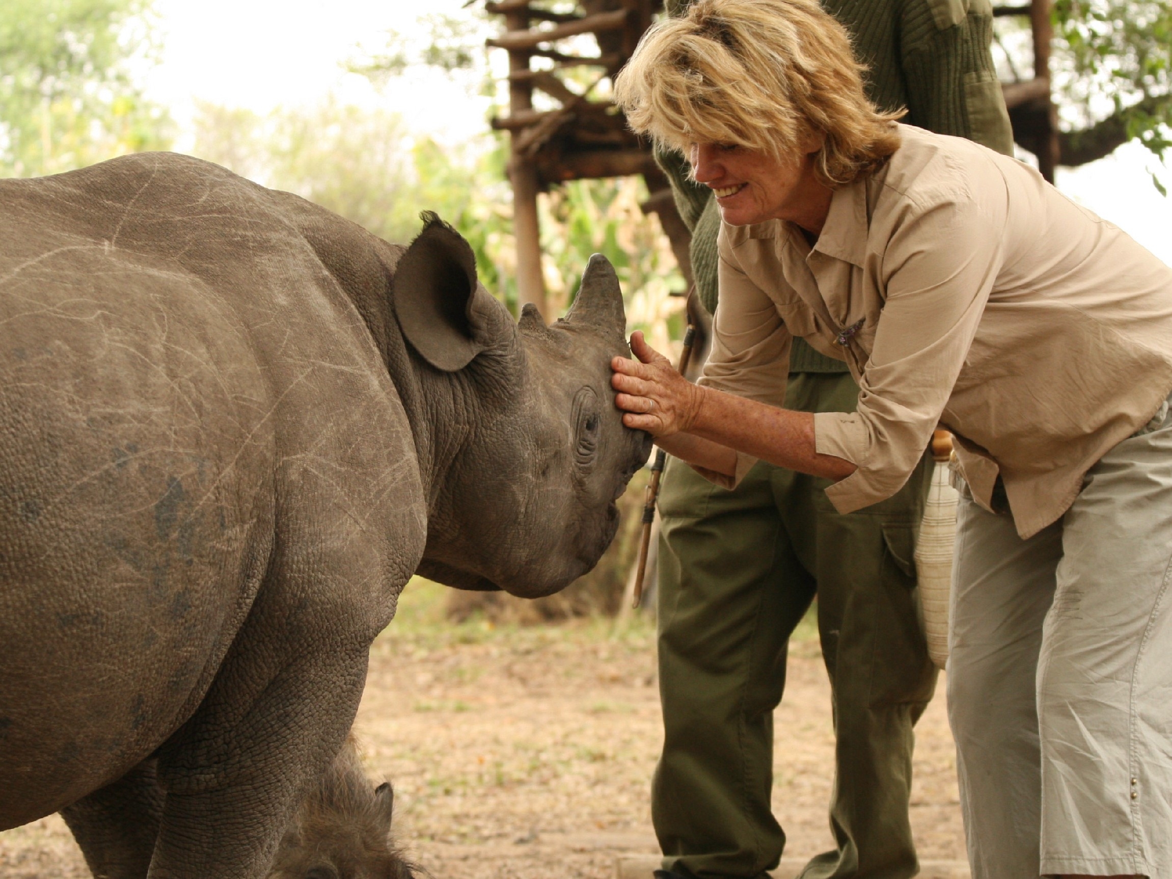 Prime Video: There's A Rhino In My House! - Season 1