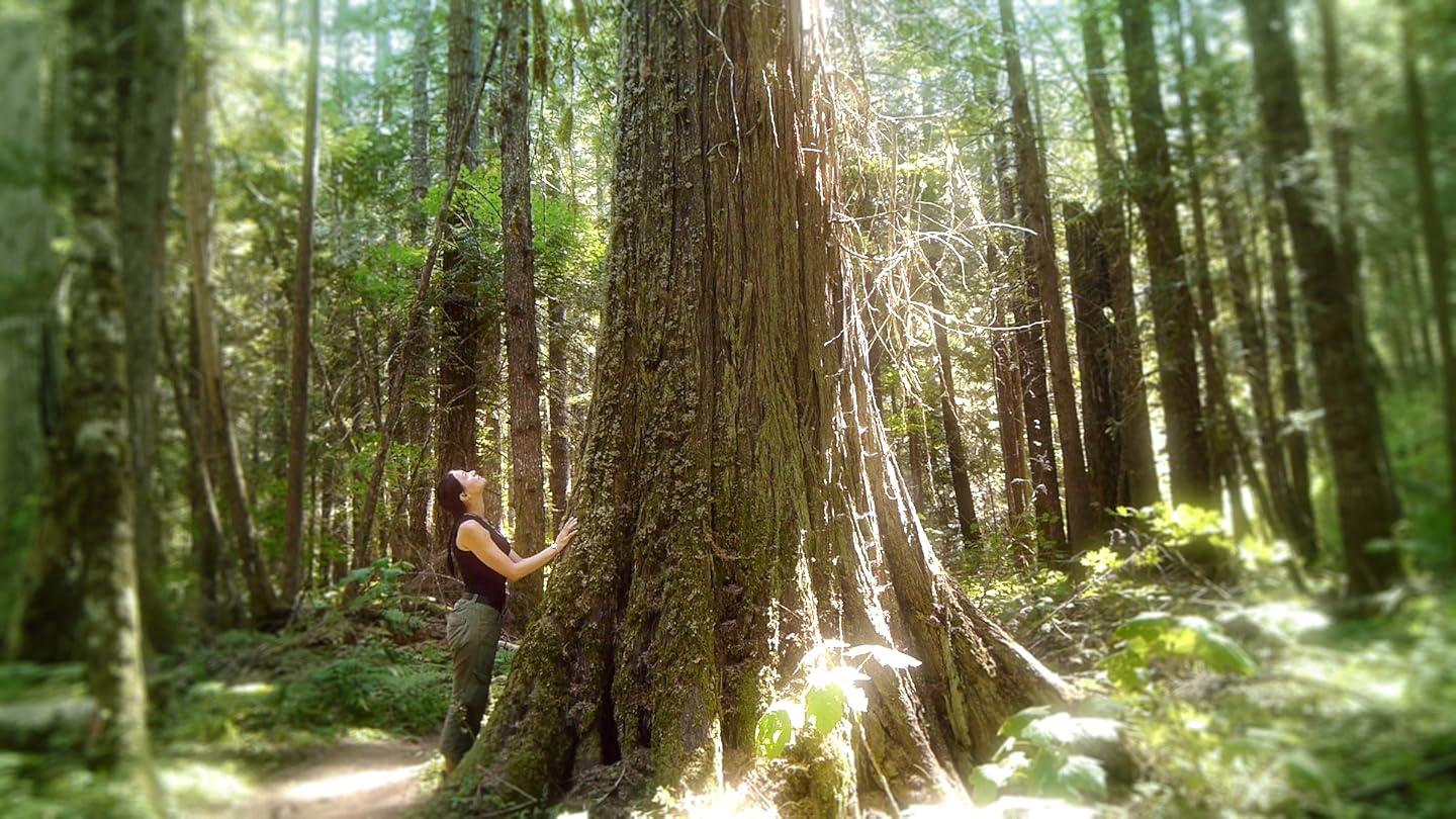 Watch Intelligent Trees | Prime Video